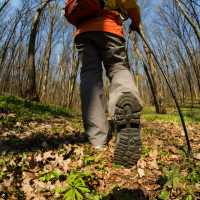 How to disguise your footprints so you can’t be tracked – Spy Briefing