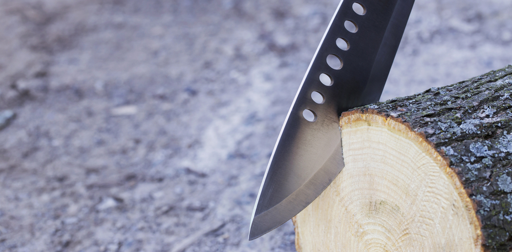 Top 10 Features of the Best Survival Machete for Preppers ...